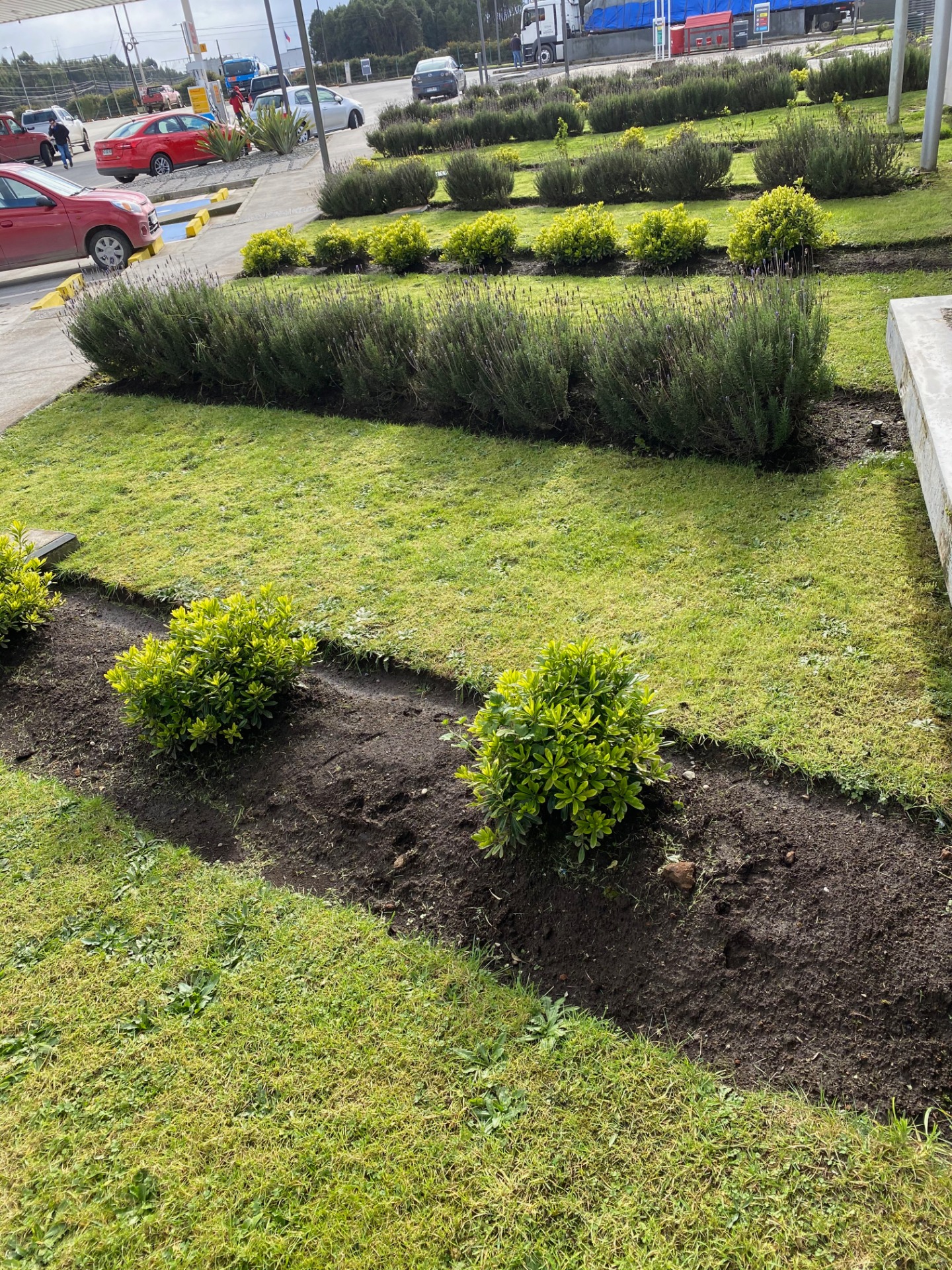 Obra Shell Puerto Varas Oriente :: RPROYECTA