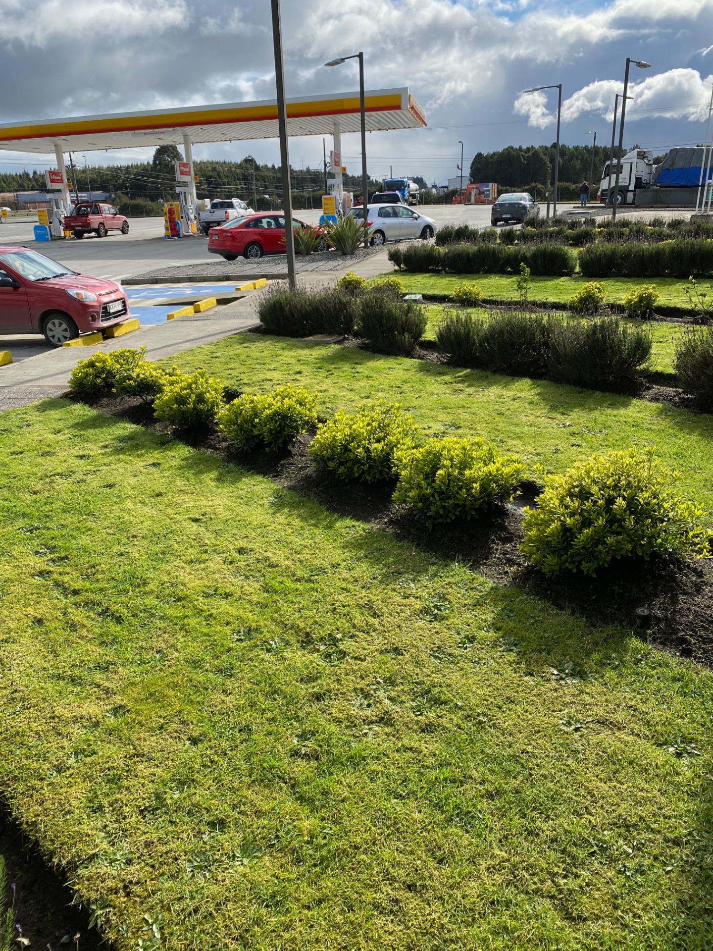 Obra Shell Puerto Varas Oriente :: RPROYECTA